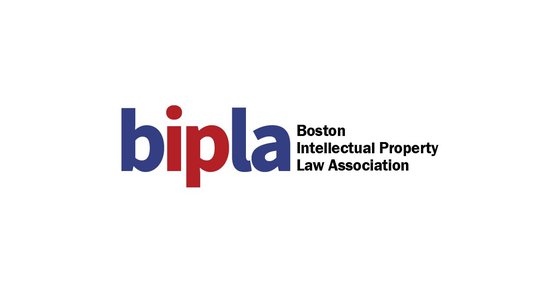 BIPLA Newsletter Summer 2024